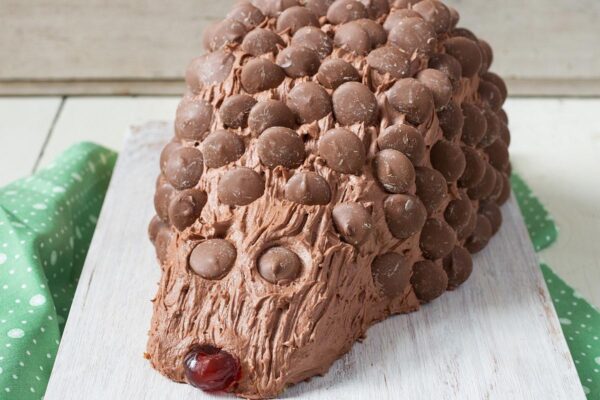 Hedgehog Novelty Cake - Odlums