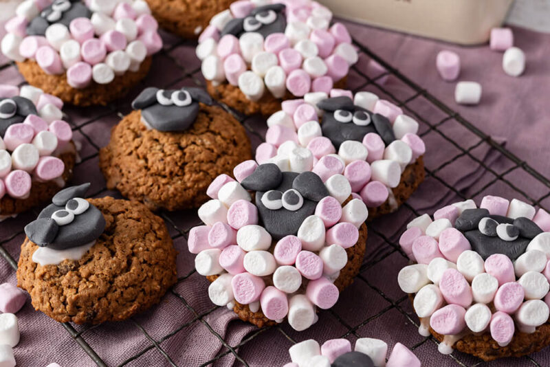 Marshmallow Sheep Cookies - Odlums